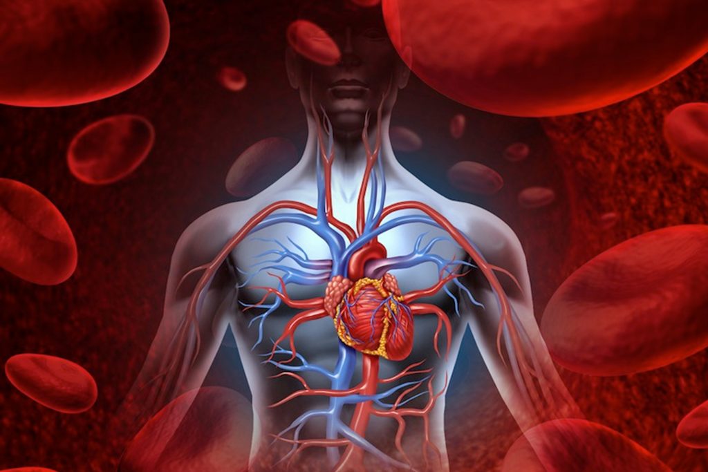 Nivelet e ulëta dhe normale të oksigjenit të gjakut: Çfarë duhet të ...