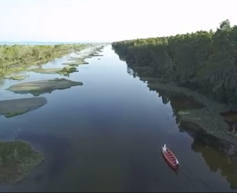 Pamje të mrekullueshme nga Parku i Divjakës (Video) – Indeksonline.net