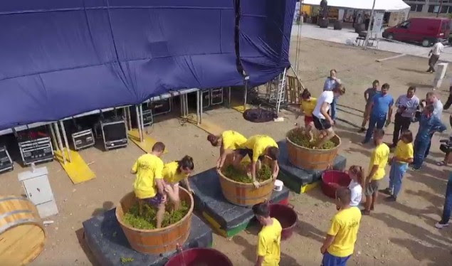 “Me Pamje kah Vneshta’ nis festa e vjeljes së rrushit në Rahovec ...