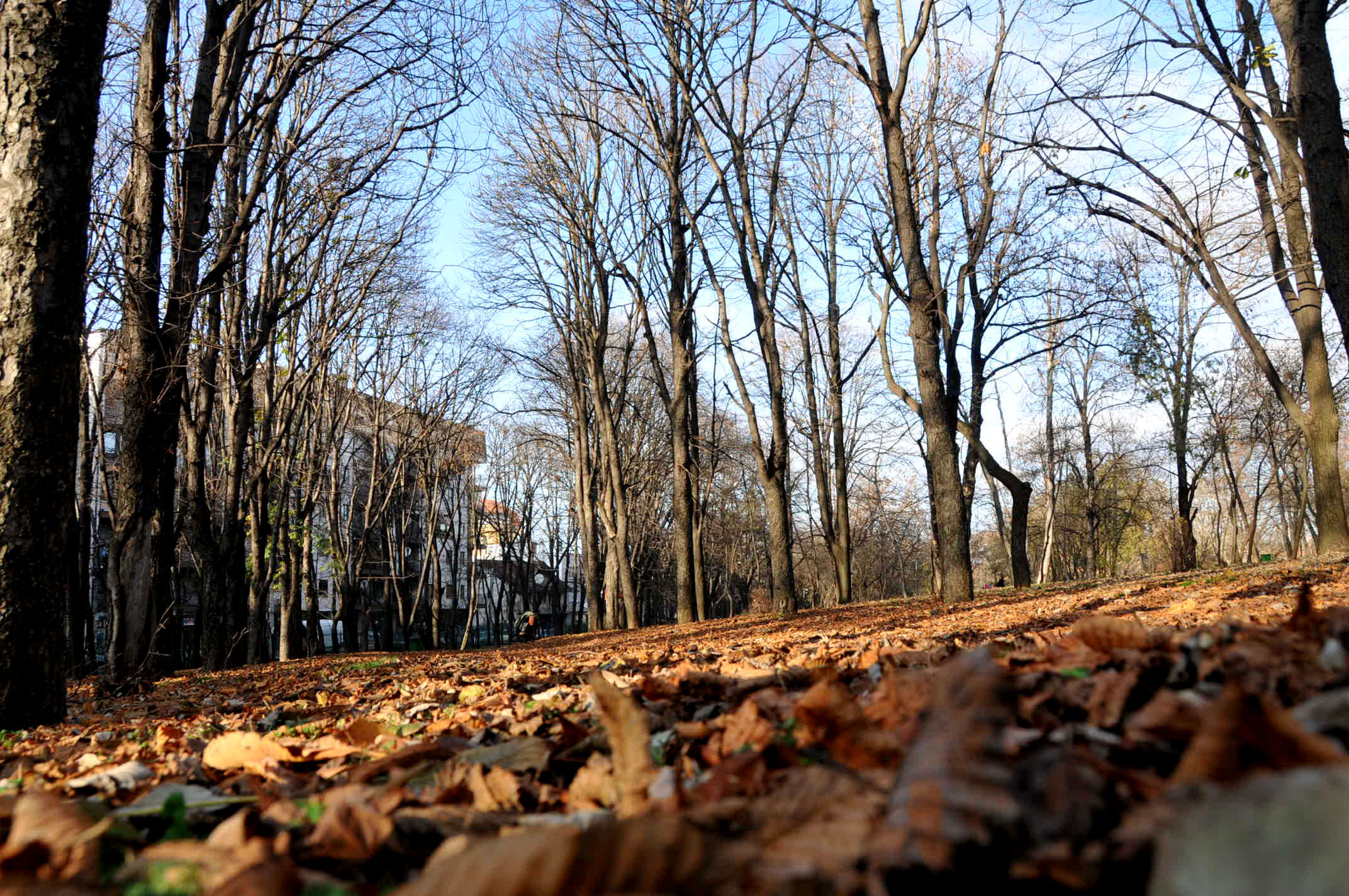 Sot dita e parë e vjeshtës – Indeksonline.net