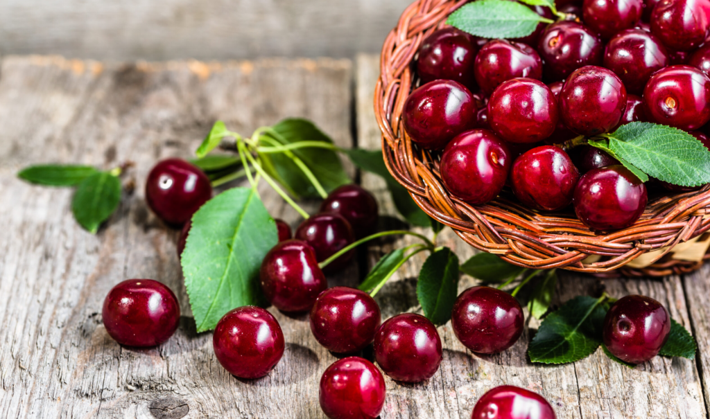 Rekor anyar digawe kanggo ceri "Sato Nishiki" Jepang sing aji banget ...